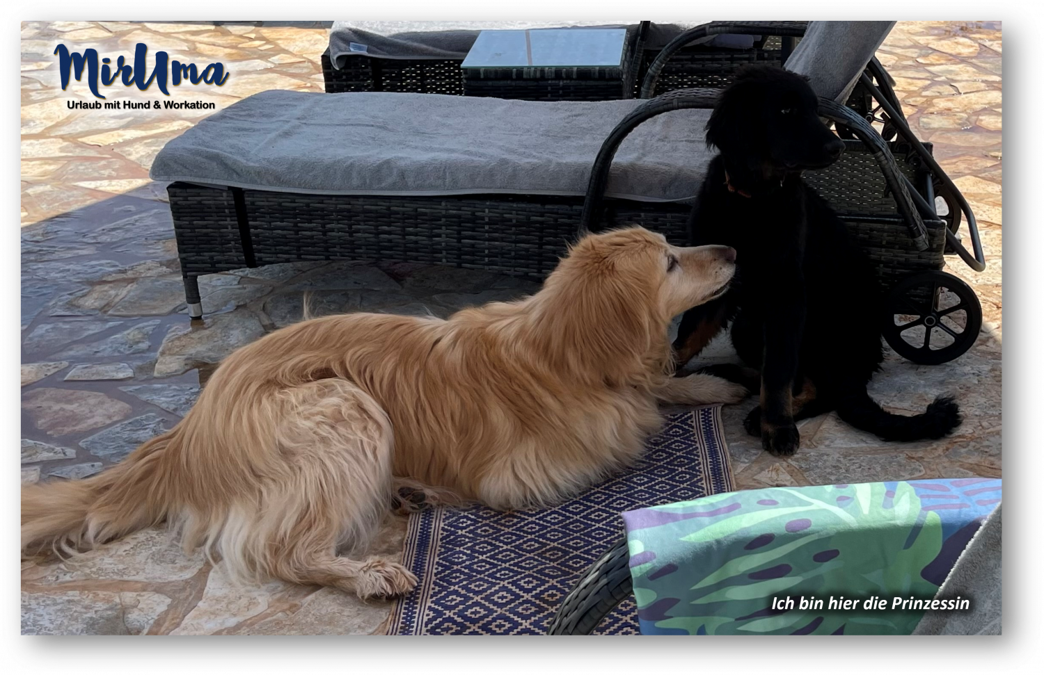 Ich bin hier die Prinzessin vs. musste das sein, noch ein Hovi? – MirUma – Urlaub auf Krk