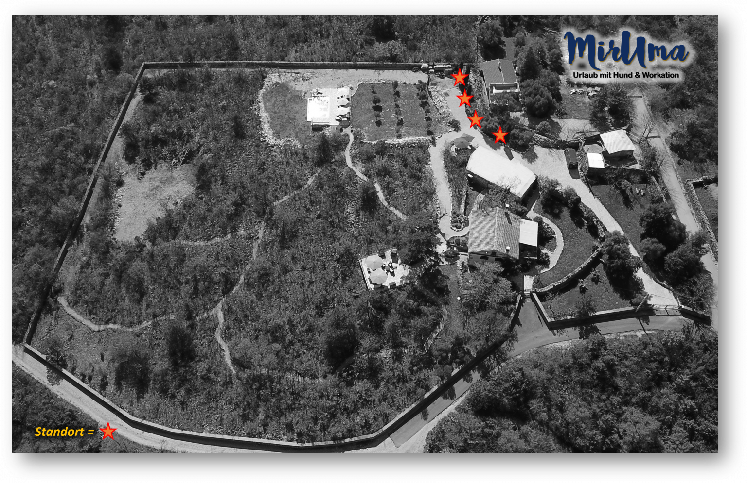 Die Flora und Fauna auf MirUma – Zypresse – MirUma – Urlaub auf Krk